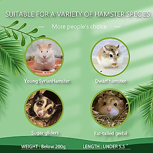 Hamster Forest Lookout Wood House Fun House Double-Decker Hut for Young Dwarf Gerbil Mouse Mice Rat Small Animals(Small Size Only for Small Hamster)