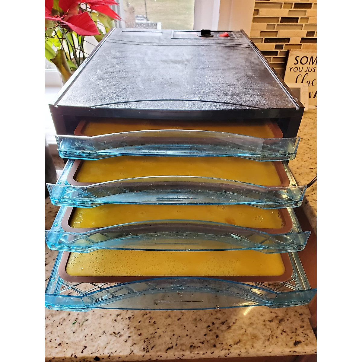 6 Pack Silicone Dehydrator Sheets with Edge for 14" x 14" Trays,Non-stick Silicone Dehydrator Mats for Excalibur Dehydrator, Reusable Silicone Tray Liner Square Dryer mesh for Meat, Herbs, Vegetables