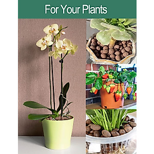 4qt Hydroponic Clay Pebbles, 8mm-12mm, Toypopor Natural Organic Expanded Grow Media for Hydroponics, Drainage, Decoration, Aquaponics and Other Gardening Essentials