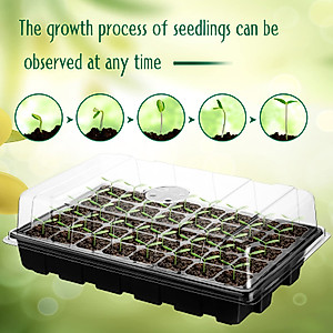 10 Pcs Seed Starter Tray 40 Cells Seed Starter Kit with Humidity Dome and Base Propagation Tray Plant Germination Greenhouse Mini Propagator Station for Seeds Growing, Total 400 Cells(Black,10 Pcs)