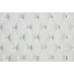 Royard Oaktree Daybed with Trundle Upgraded Velvet Upholstered Full Size Day Bed Button-Tufted Sofa Daybed Frame with Trundle, No Box Spring Needed, Furniture for Bedroom Living Room Guest Room, Beige