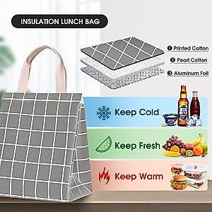 HOMESPON Reusable Lunch Bag Insulated Lunch Box Canvas Fabric with Aluminum Foil, Lunch Tote Handbag for Women,Men,School, Office (Grey Plaid)