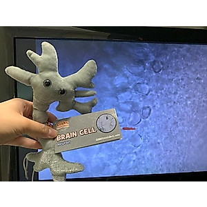 GIANTmicrobes Brain Cell Plush, Neuron Plush, Neuroscience Gifts, Neurology Gifts, Science Plush, Neuron Model Anatomy, Psychology Gifts, Psychology Decor, Brain Themed Gifts, Mental Health Awareness