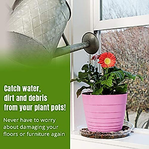 Clear Plant Saucers - 12 Inch - Excellent For Indoor & Outdoor Plants (5 Pack)