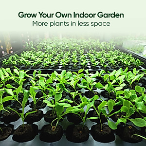 BioPlug Germination Rooter Cube 100 Pcs - Replacement Root Growth Sponges Kit Compatible with Aerogarden - Seed Starter Sponge Pods for Indoor Hydroponic Growing System