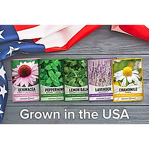 Herbal Tea Seeds for Planting Indoors and Outdoors 5 Variety Packets Echinacea, Peppermint, Lavender, Chamomile and Lemon Balm - Great for Kitchen Herb Garden Heirloom Herb Seeds - Gardeners Basics