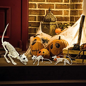 LUKBERA Halloween Animal Skeleton Decorations, Dog Animal Bones Skeletons with Posable Joints for Haunted Houses, Graveyard Scenes, Halloween Party Décor