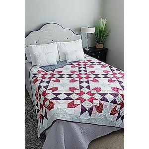 Barn Star Sampler: 20 Starry Blocks and 7 Spectacular Quilts