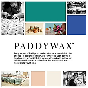 Paddywax Candles VS1003 Vista Collection Scented Candle, 12-Ounce, Redwoods & Amber, 12 Ounces