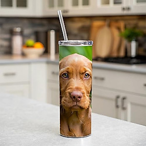 Wirehaired Vizsla Dog Puppy Photo Skinny Tumbler 20oz with Straw Insulated Water Bottle Gift