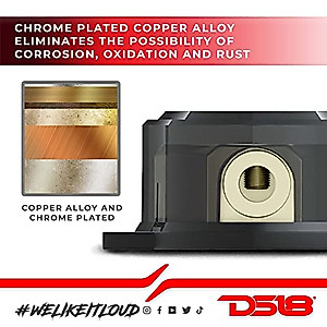 DS18 DB1020 Distribution Ground Block - 1 x 0GA in/ 2 x 0GA Out, Nickle Plated Internal Materials, High-Strength Heat Resistant Plastic Housing, Oversized Screws for Secure Connections (1 in 2 Out)