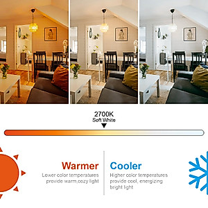 MYEMITTING 4 Pack G25/G80 Globe LED Light Bulbs, 6W Dimmable 60 Watt Equivalent LED Edison Bulbs, Warm White 2700K, 600LM, E26 Base, Clear Glass Edison LED Bulbs for Vanity Mirror Bathroom Bedroom