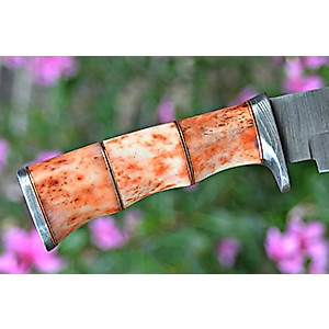 UK UNIQUE SHARP KNIVES BK-3004 Handmade Damascus Steel 12.00 Inches Damascus Steel Hunting Knife - Coloured Camel Bone Brass Spicer Handle With Damascus Gurd/pommel