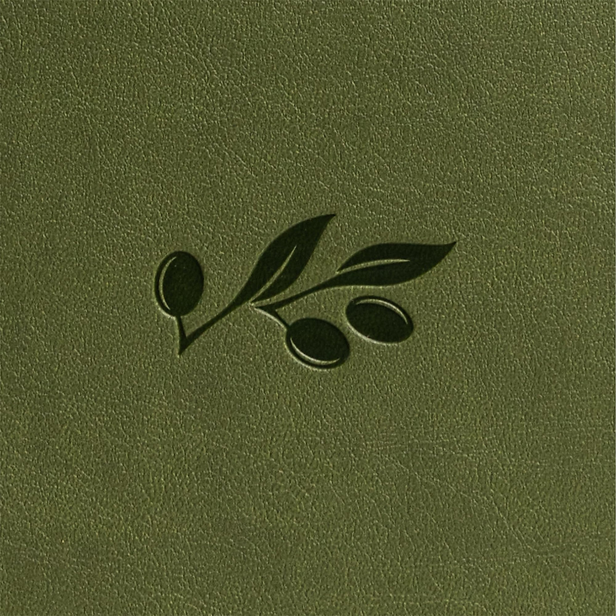 NASB Large Print Personal Size Reference Bible, Olive LeatherTouch, Red Letter, Presentation Page, Cross-References, Full-Color Maps, Easy-to-Read Bible Karmina Type