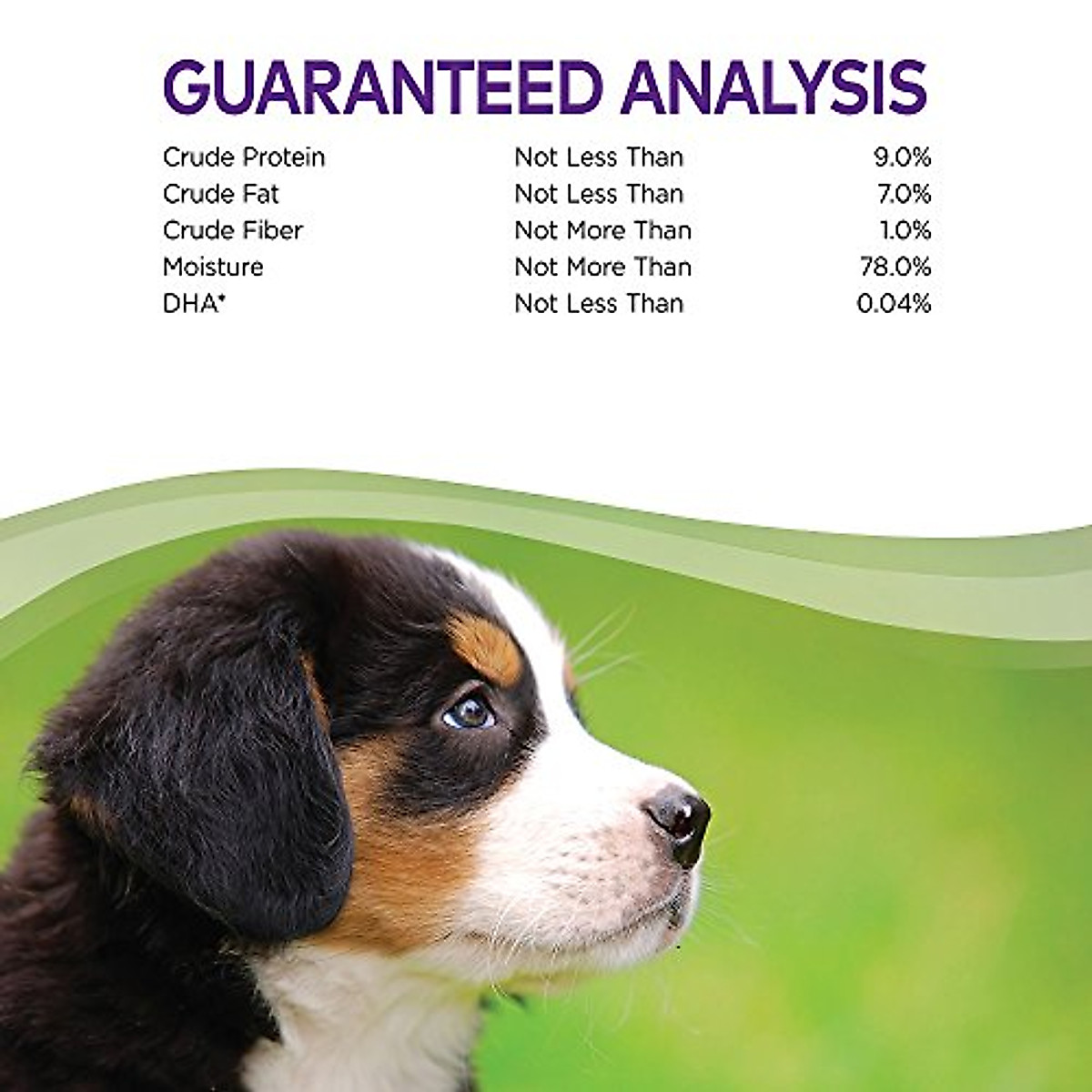 Wellness Complete Health Natural Wet Canned Puppy Food, Puppy Chicken & Salmon 12.5-Ounce Can (Pack of 12)