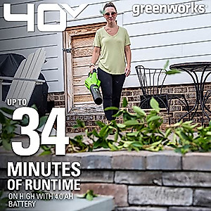 Greenworks 40V (120 MPH / 450 CFM) Cordless Axial Blower, 4Ah USB Battery (USB Hub) and Charger Included