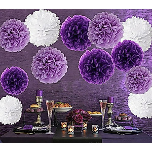Wartoon Tissue Paper Pom Poms Flowers for Wedding Birthday Party Baby Shower Decoration, 12 Pieces (Purple, Lavender and White)