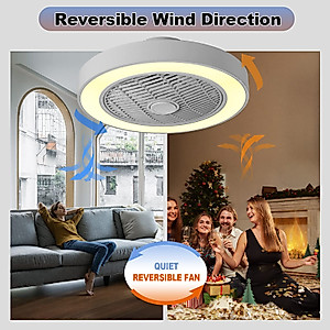 Jinweite Ceiling Fan with Light, 19 inches LED Remote Control Fully Dimmable Lighting Modes Invisible Acrylic Blades Metal Shell Semi Flush Mount Low Profile Fan,White