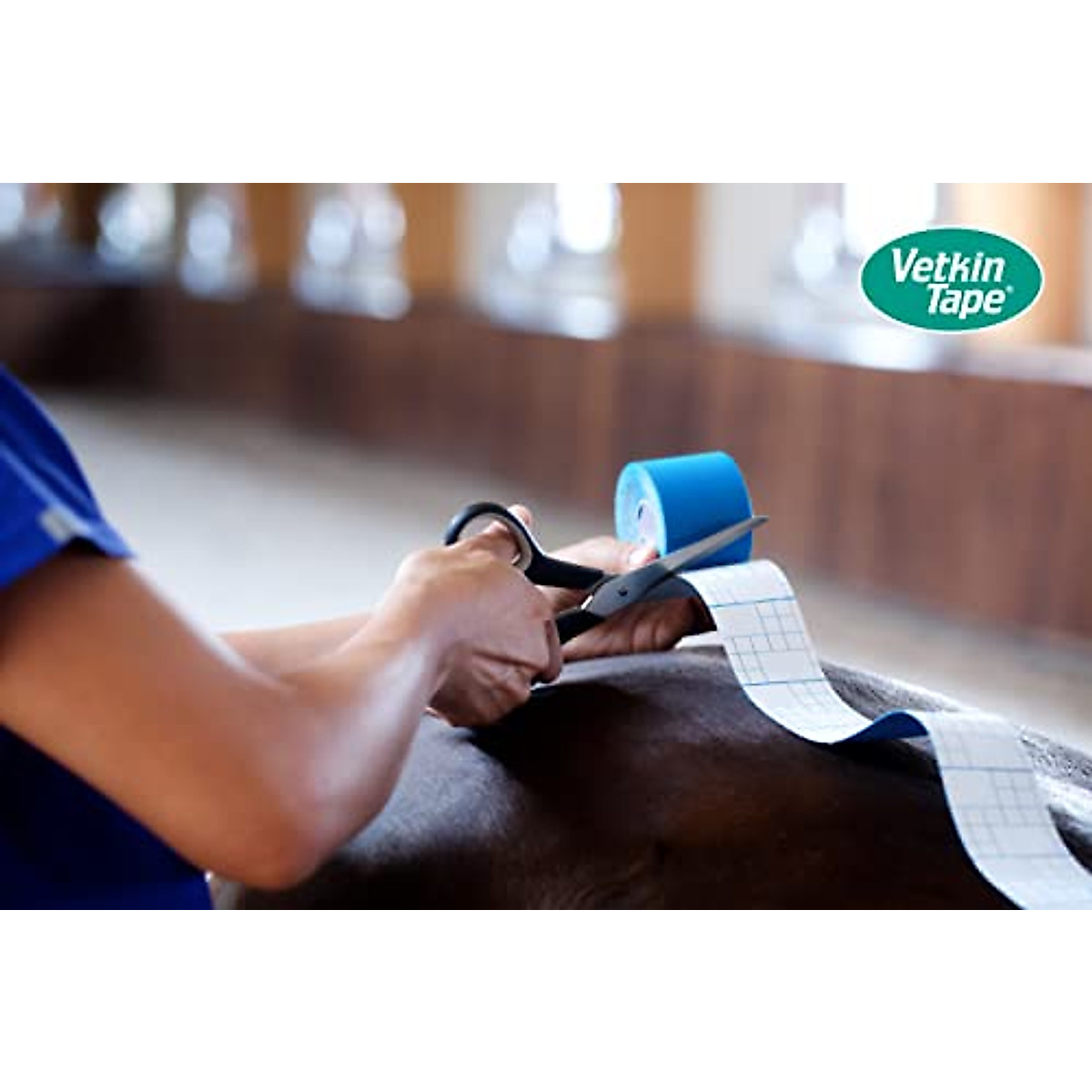 VETKIN VetkinTape® Veterinary Kinesiology Tape Blue | Kinesiology Tape for Horses & Dogs | Equine & Canine Kinesiotape | Latex Free and TÜV Quality Mark Certified Ktape | 1.2 inch | Pack of 2 Rolls