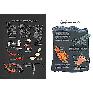 Ocean Anatomy: The Curious Parts & Pieces of the World under the Sea