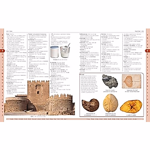 Merriam-Webster Children's Dictionary, New Edition: Features 3,000 Photographs and Illustrations