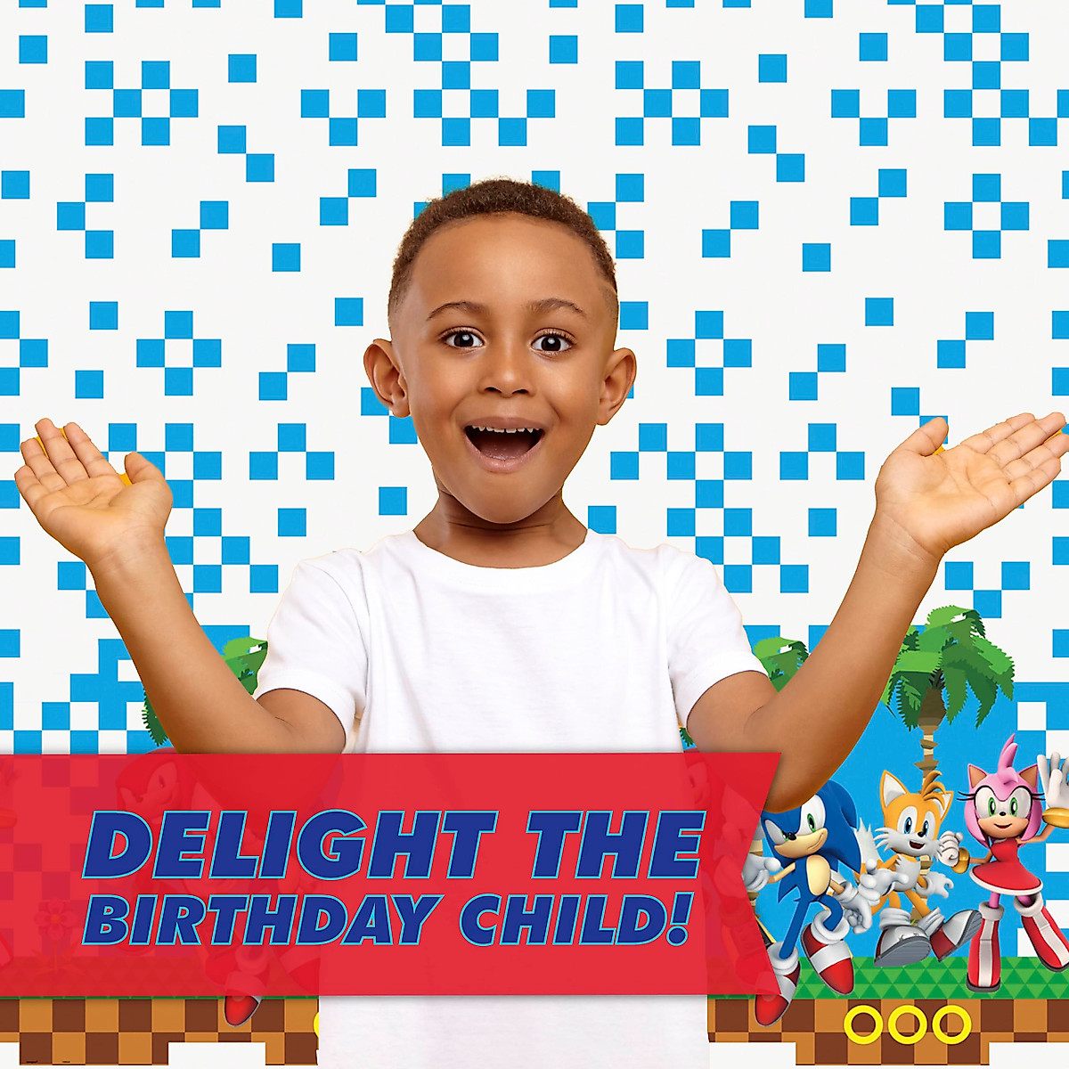 Unique Sonic Plates and Napkins for 16 | Sonic Birthday Party Decorations | Sonic Party Decorations | Officially Licensed