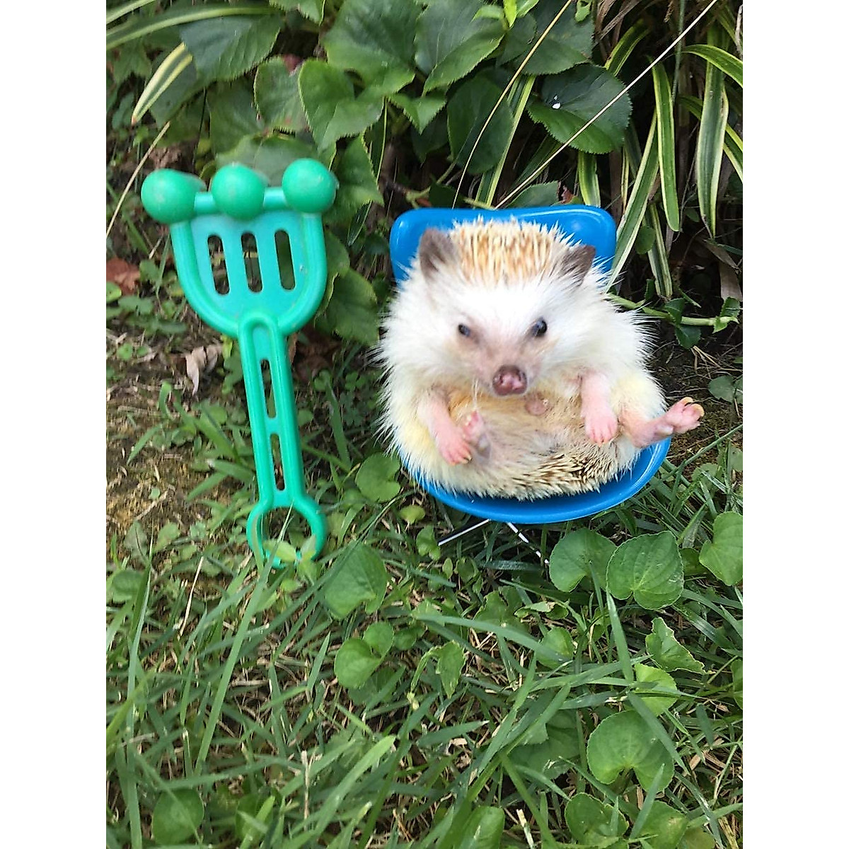 Hedgehog Chair Mini Plastic Swivel Seat Small Animal Toys Habitat Decor Cage Accessories Hedgehog Supplies Photo Props Chair Toy for Hedgehog,Bird,Parrot,Mouse,Chinchilla, Rat,Gerbil,Dwarf Hamster