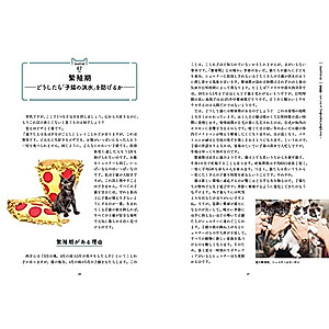 保護猫の育て方