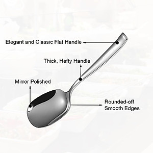 TXHLYX Serving Spoon,316L Premium Stainless Steel Large Heavy duty Serving Spoon for Buffet,Dishwasher Safe 9.5 x 2.8''