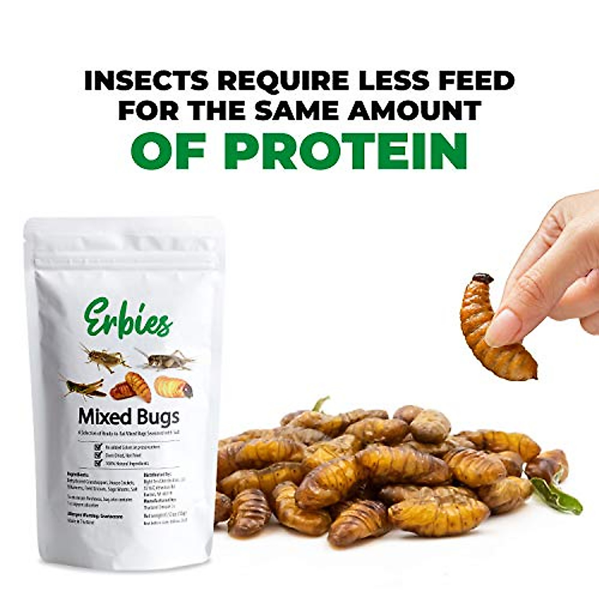 Erbies Edible Bugs Mixed Trail Mix, 15g Bag, Seasoned and Crunchy Insects, Crickets, Grasshoppers, Silkworm Pupae, and Sago Worms, Protein Packed Snack, Fun Gift Idea (1-Pack)