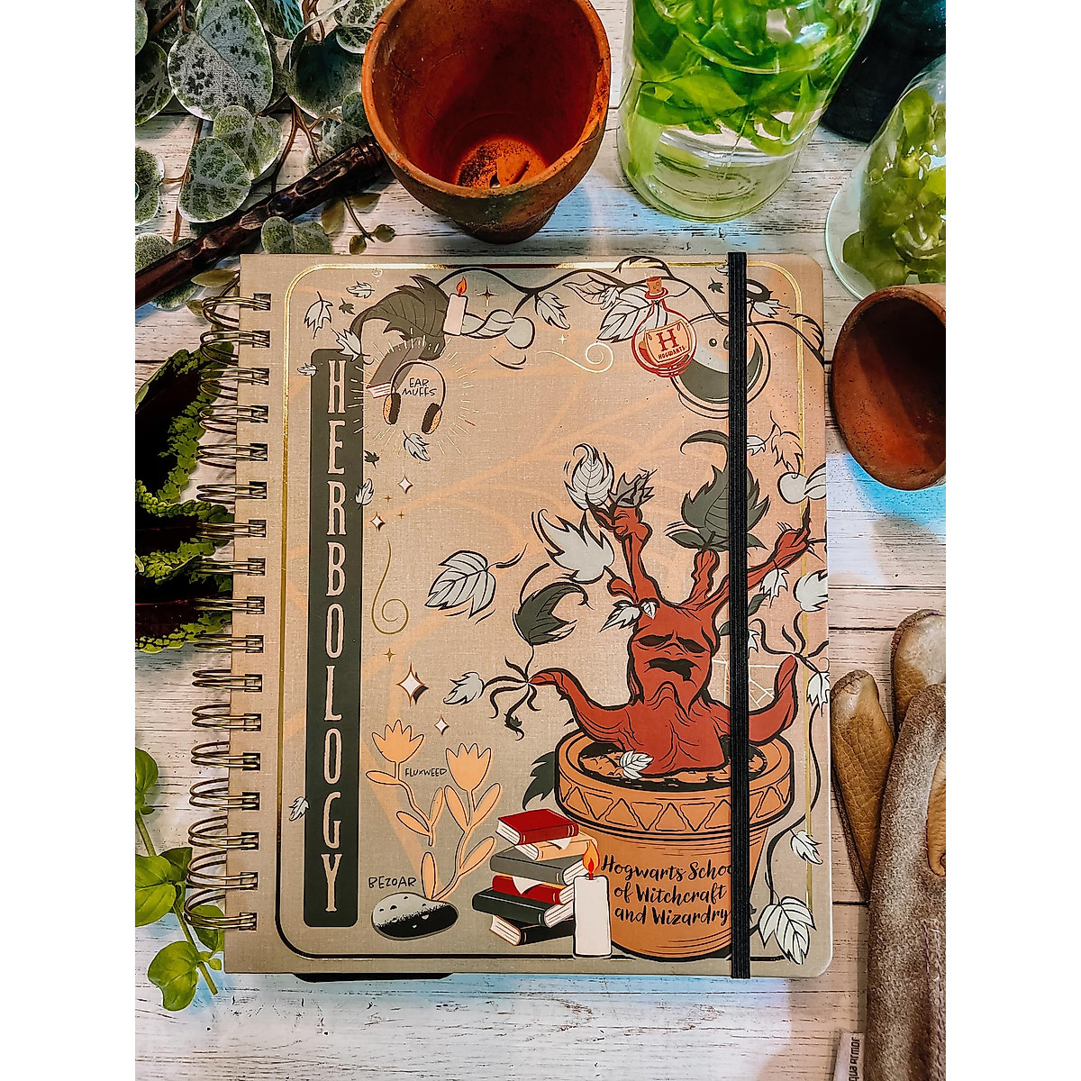 Conquest Journals Harry Potter Herbology 2024 Dated Weekly Planner, Vertical Format, Wrapped Book Board Cover, Spiral Bound, 4 Sticker Sheets, Pocket, Elastic Closure Strap, Bookmark, 8"x9.25"