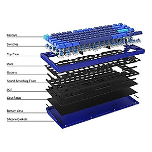 Keychron Q1 RGB Wired Custom Mechanical Keyboard, 75% Layout QMK/VIA Programmable Macro with Hot-swappable Gateron G Pro Blue Switch Double Gasket Compatible with Mac Windows Linux (Blue) -Version 2