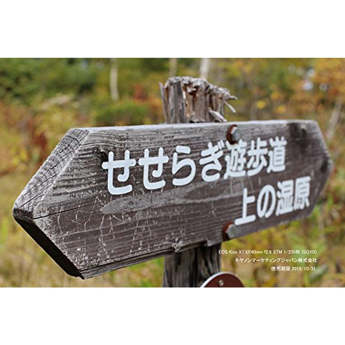 Canon DSLR Camera EOS Kiss X7 with EF-S18-55mm is STM - International Version (No Warranty)