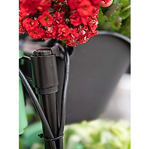 Watex Mobile Green Wall (Single Frame, Black), BPA Free Planters