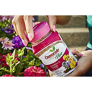 Osmocote Smart-Release Plant Food Plus Outdoor & Indoor, 1 lb.