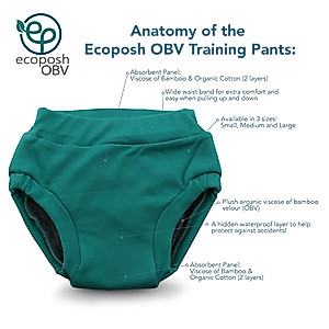 Kanga Care Ecoposh OBV Reusable Pull Up Toddler Underwear Potty Training Pants | Boysenberry Medium 2T/3T