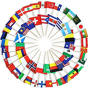 Anley Assorted 100 Different Countries Toothpick Flag - Vivid Double Sided Print & Solid Smooth Pick - Party Decoration Cocktail Fruit Stick Cupcakes Toppers(100 pcs)