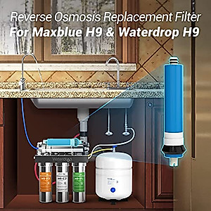 Waterdrop WD-H9-RO Filter, 24-month Lifetime, Replacement for Waterdrop WD-H9 & MB-H9 Reverse Osmosis System