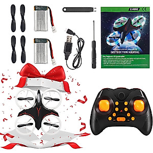 Mini Drone for Kids, LED RC Drone, Remote Control RC Quadcopter, with 360° 3D Eversion and Throwing Flight Function, Gift/Toys for Boys & Girls