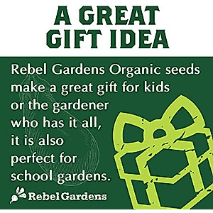 Kitchen Garden Seed Collection - Certified Organic Herb & Vegetable Seeds - 14 Varieties of Non-GMO, Heirloom, Home Garden Seeds for Planting - Basil, Tomato, Spinach, Cilantro, & More