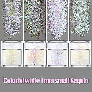 Little Rhinestones Festival Cosmetic Boxes Sequins Set Nail Glitters White Colorful 4 Nail Organizers and Storage for Nail Tech