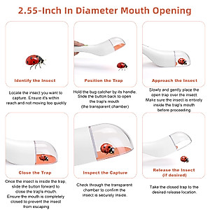 Bug Catcher for Kids 2 Pack - Quick-Release Insect Catching Tool for Spiders, Ants - Humane Bug Viewer for Nature Exploration - Ideal Gift for Adults & Children