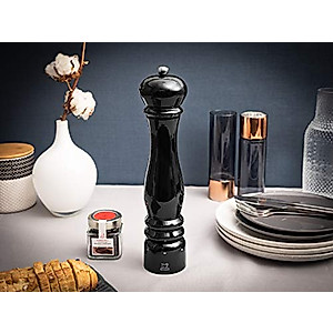 Peugeot Vietnam-175g Tan Hoi Spice Cube-Black Pepper Vietnam, 175g, Clear