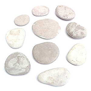 Capcouriers Rocks for Painting 10 Painting Rocks For Rock Painting