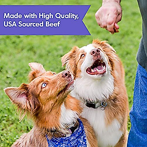 DOGSWELL 842190 Hip & Joint Beef Jerky Pet Food, 10 Oz (842190)