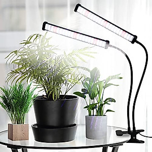 GooingTop Grow Light 100W 6000K, Super Bright White Desktop Clip Plant Lamp for Seedlings Succulents Seeds Starting Indoor Plants Growing,Bendable Gooseneck & Timer 4 8 12 H