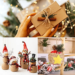 Tenn Well Jute Twine, 328Feet 2.32mm 6Ply Natural Garden Twine, Heavy Duty Twine String for Crafts, Gift Wrapping, Gardening, Packing, Christmas Decorations