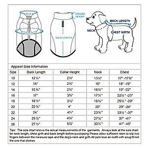 Blueberry Pet Windproof Waterproof Reflective Softshell Dog Jacket, Neon Yellow, Back Length 12.5", Size 10, Warm & Lightweight Winter Outdoor Windbreaker Coats Raincoats for Dogs