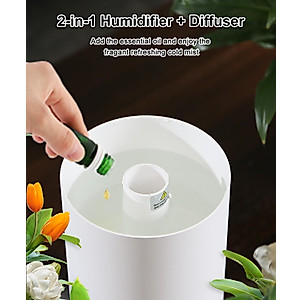 Home Humidifier for Large Room, 1000ml Essential Oil Diffuser with Timer, Top Fill Design Cool Mist Humidifier for Bedroom, Living Room, Quiet for Baby Room, Touch Button