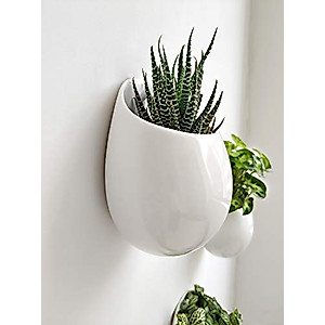 Mkono 4 Inch Wall Mounted Planter Round Ceramic Hanging Plant Holder Decorative Flower Display Vase Succulent Pots for Indoor Plants, Set of 3, White (Plants NOT Included)